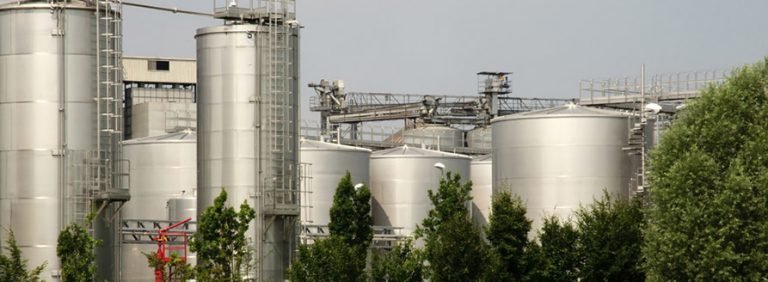 Biodiesel Guide – Sources, Production, Uses, & Regulations | IFS